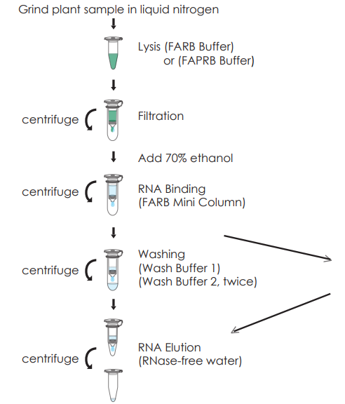 FavorPrep™ Plant Total RNA Mini Kit (sample size: up to 100 mg of plant ...