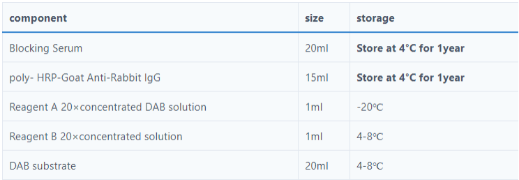 FineTest® rabbit-DAB (Poly-HRP) Detection IHC Kit | PT Kairos Jaya ...